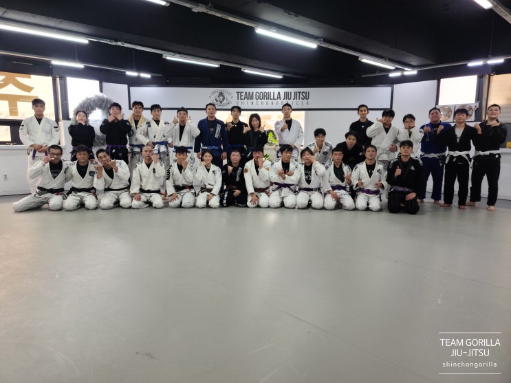 팀 고릴라주짓수 본관 용인수지 주짓수전문체육관 팀고릴라 네트워크 오픈매트 20230716 네이버 블로그