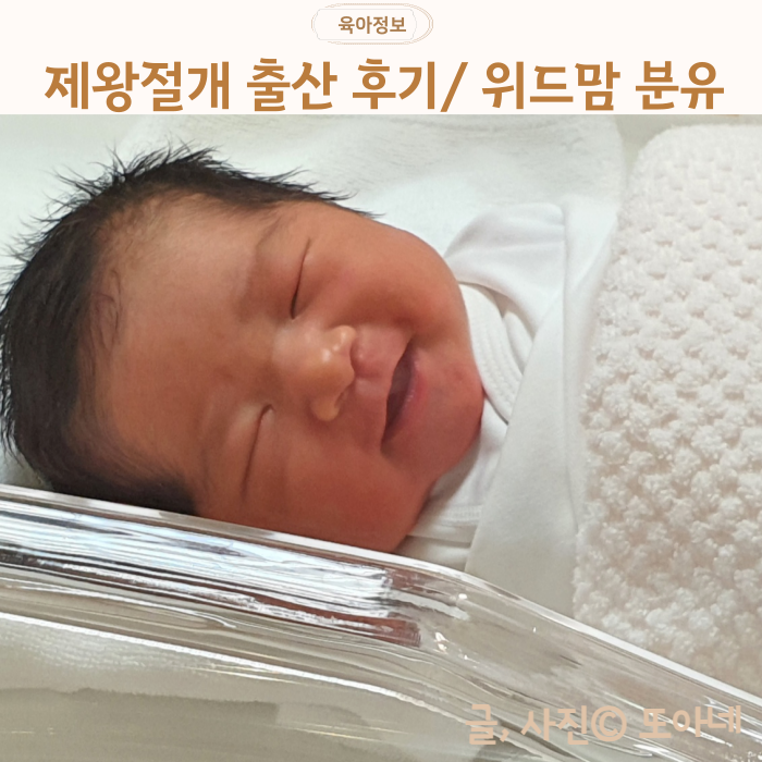 제왕절개 후기 회복 기간 페인버스터 흉터 훗배앓이 위드맘 제왕 분유까지 네이버 블로그