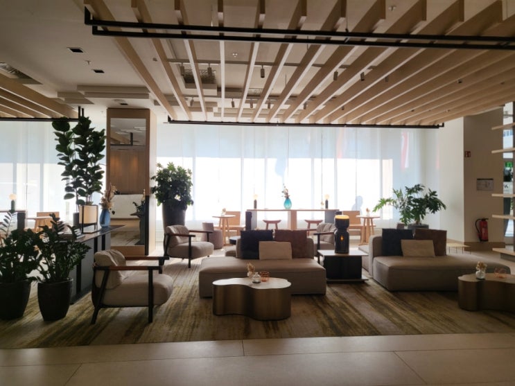 프랑크푸르트 호텔 추천 독일여행 숙소 westin 웨스틴 그랜드 : 네이버 블로그