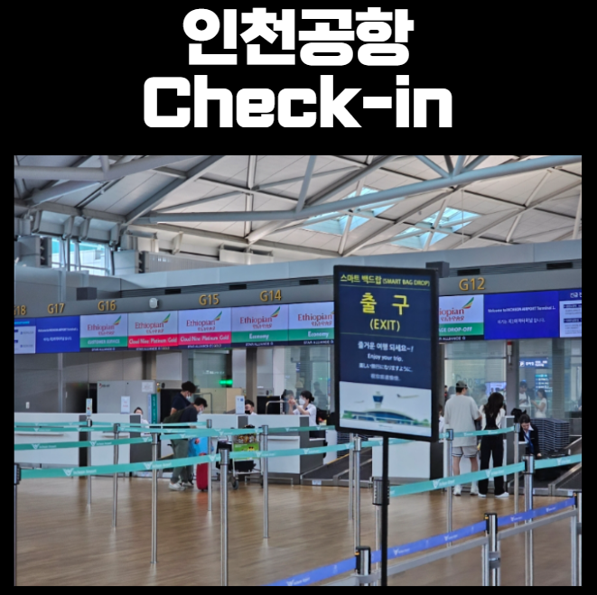 인천공항 체크인 방법 탑승수속절차 초보자 필수 주의사항 및 꿀팁 공유 기내 반입금지품목 포함 체크인 전문가가 알려드림