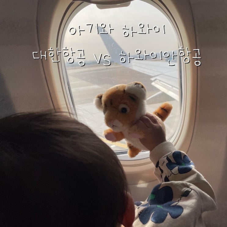 아기와 하와이 항공권 대한항공 Vs 하와이안항공 비교 네이버 블로그