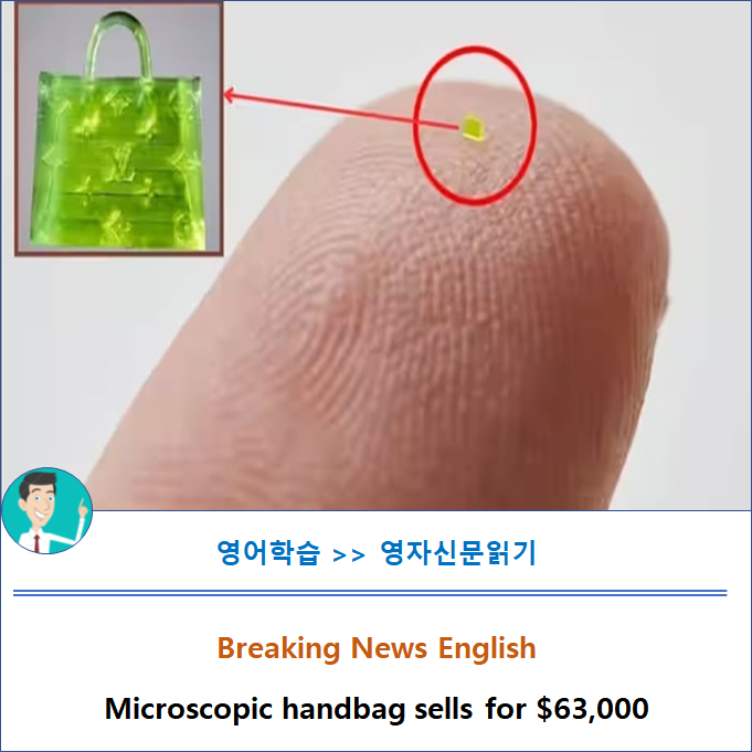 [영자신문] Microscopic handbag sells for $63,000 : 네이버 블로그
