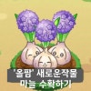 올팜 쌀 수확완료 새로운 작물 마늘 수확시작 쌀 배송후기 네이버 블로그