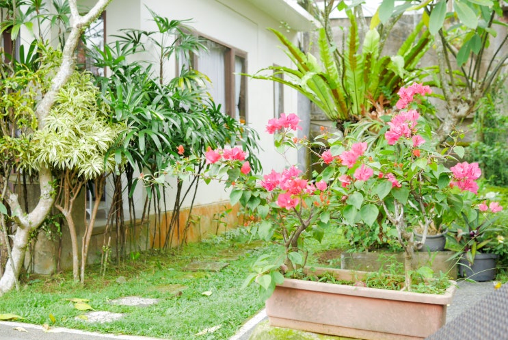 발리 한달살기] 우붓 맛집, 우붓 카페 탐방하며 보낸 잘란 잘란 하루, Twist Ubud, Suka Espresso, 코코 ...