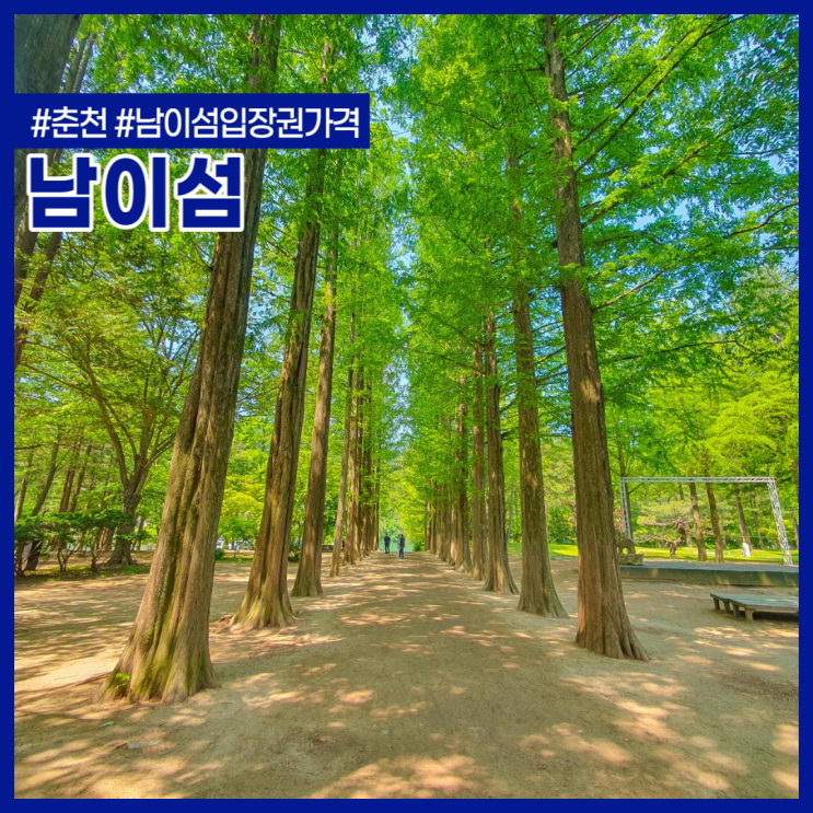 춘천 여행 추천 남이섬 입장권 가격 스토리 투어버스 후기 네이버 블로그