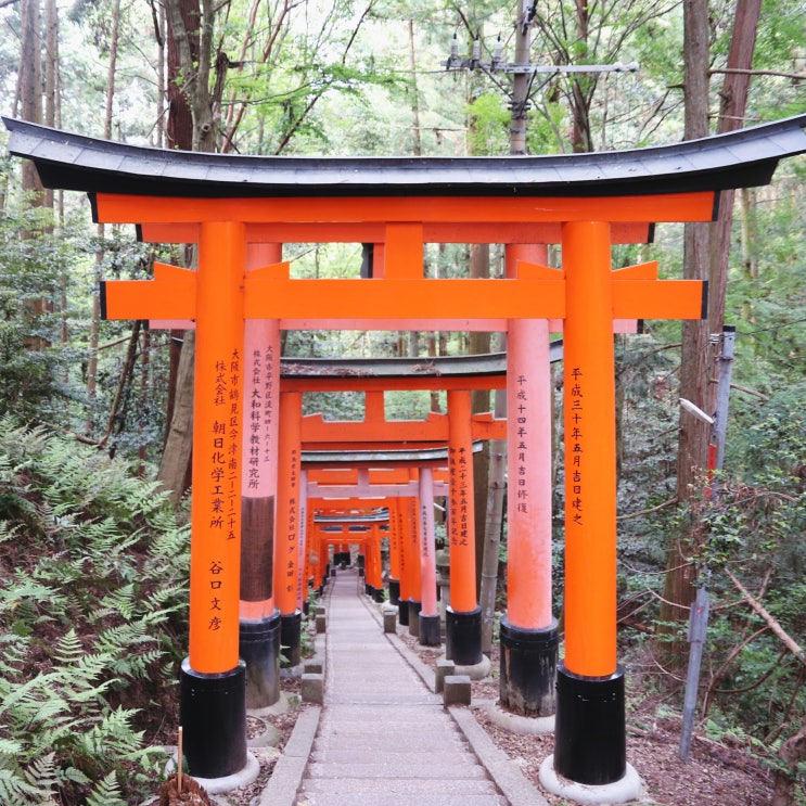 일본어자격증시험/일본어시험 종류 및 활용처 : JPT, JLPT, SJPT, BJT, EJU : 네이버 블로그