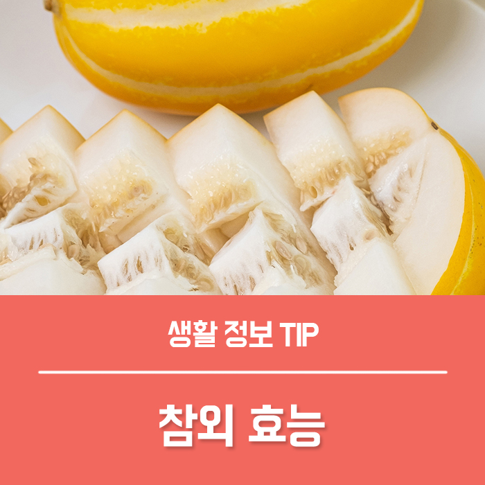 참외의 효능 Top4 참외 1개 칼로리 임산부 참외 참외씨 설사 부작용 총정리 네이버 블로그