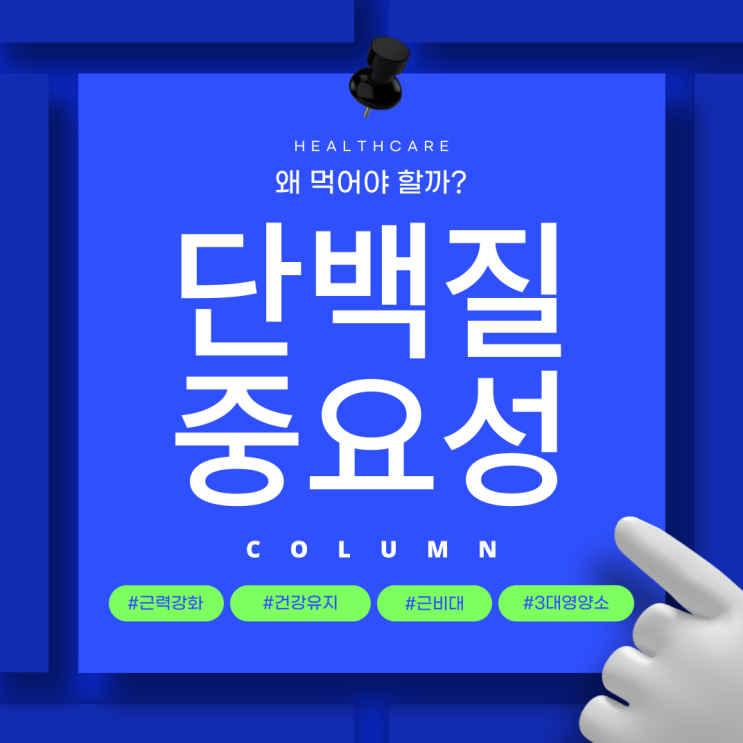 스포애니 공덕역점에서 공덕역pt와 함께 단백질 종류에 대해 알려드리겠습니다 네이버 블로그