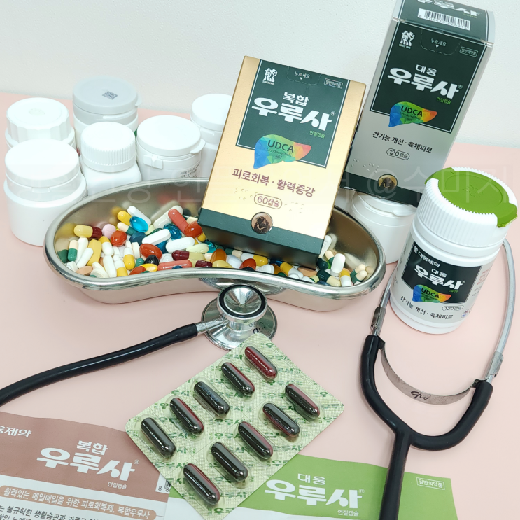 우루사 효과 종류 Udca로 간건강 지켜요 간기능개선제 간장약 추천 대웅 우루사 네이버 블로그