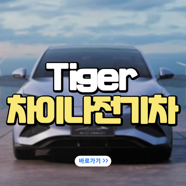 Tiger 차이나전기차SOLACTIVE 분석 및 주가전망 : 네이버 블로그