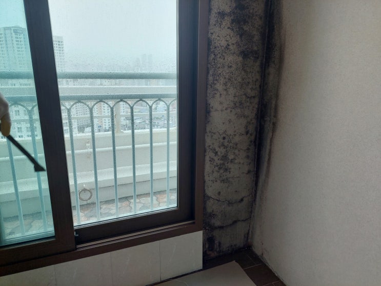 베란다 결로곰팡이제거 방지시공 : 네이버 블로그