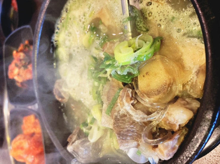 북구 천곡 울산우진참한우 7월 한우세일 및 한우꼬리뼈탕 맛집 네이버 블로그
