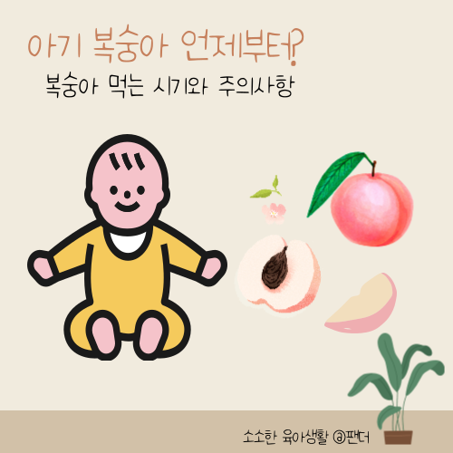 아기 복숭아 언제부터 먹는 시기와 주의사항 알레르기 네이버 블로그
