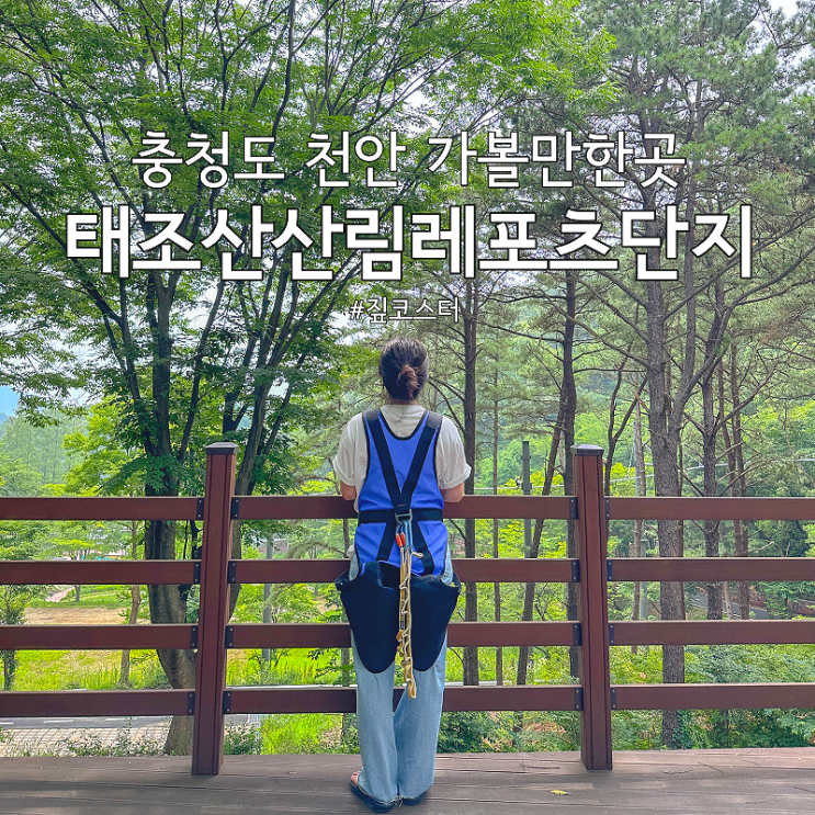 충청도 천안 태조산산림레포츠단지 무료로 체험이 가능한 짚코스터 등산도 함께 체험할 수 있는 태조산 이색 레포츠시설 여행지