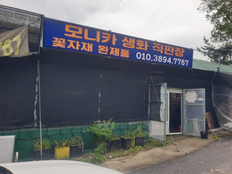 W07 제주스냅촬영 부케준비 Tip 제주셀프부케추천 제주모니카네생화직판장 네이버 블로그