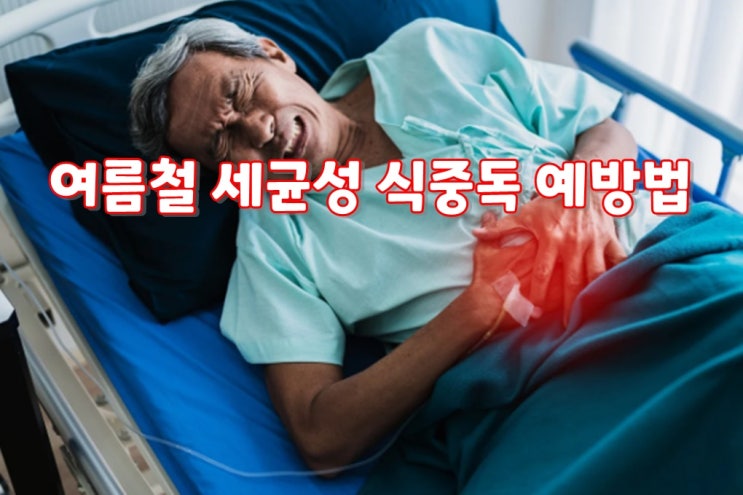 여름철 세균성 식중독 예방법 장염 살모넬라황색포도상구균퍼프린젠스 주의하세요 크린리더가 알려드릴게요~ 네이버 블로그