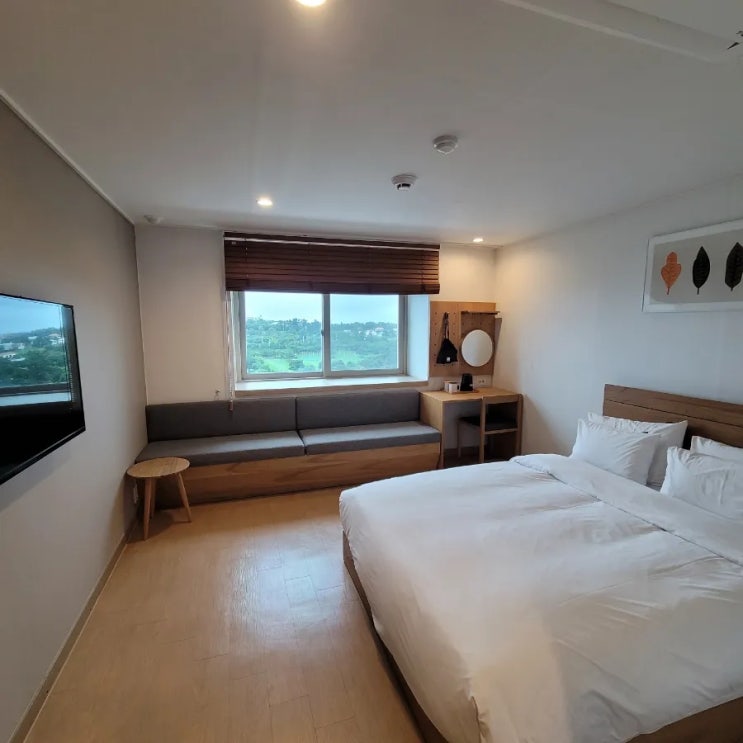 제주도여행 7월 나홀로 뚜벅이 여행 5박6일1일차헤이서귀포 스탠다드 더블룸 바다전망 솔직후기 네이버 블로그
