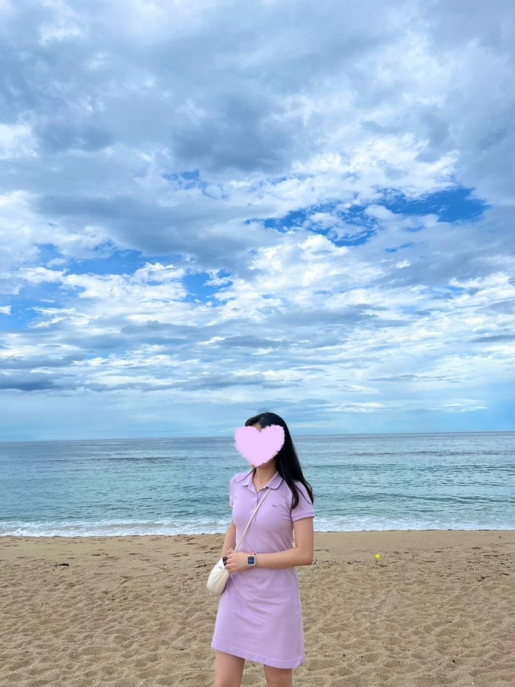 서울에서 강릉 당일치기 여행 코스다섯 군데나 감 네이버 블로그