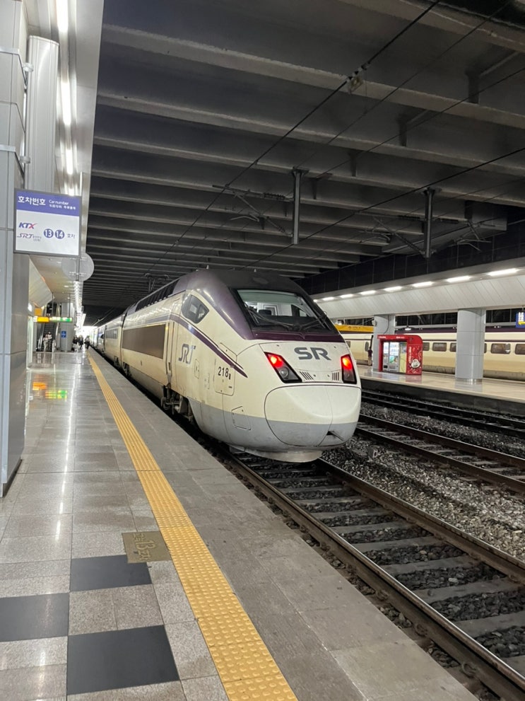 SRT 열차 지연보상 후기 (폭우로 인한) : 네이버 블로그