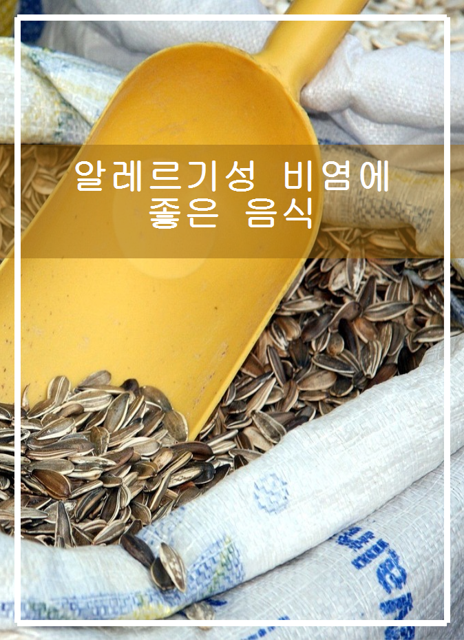 알레르기성 비염에 좋은 음식 청비즙 네이버 블로그