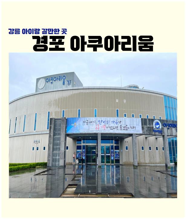 강릉 경포 아쿠아리움 비 오는 날 아이랑 갈만한 실내 여행지 네이버 블로그