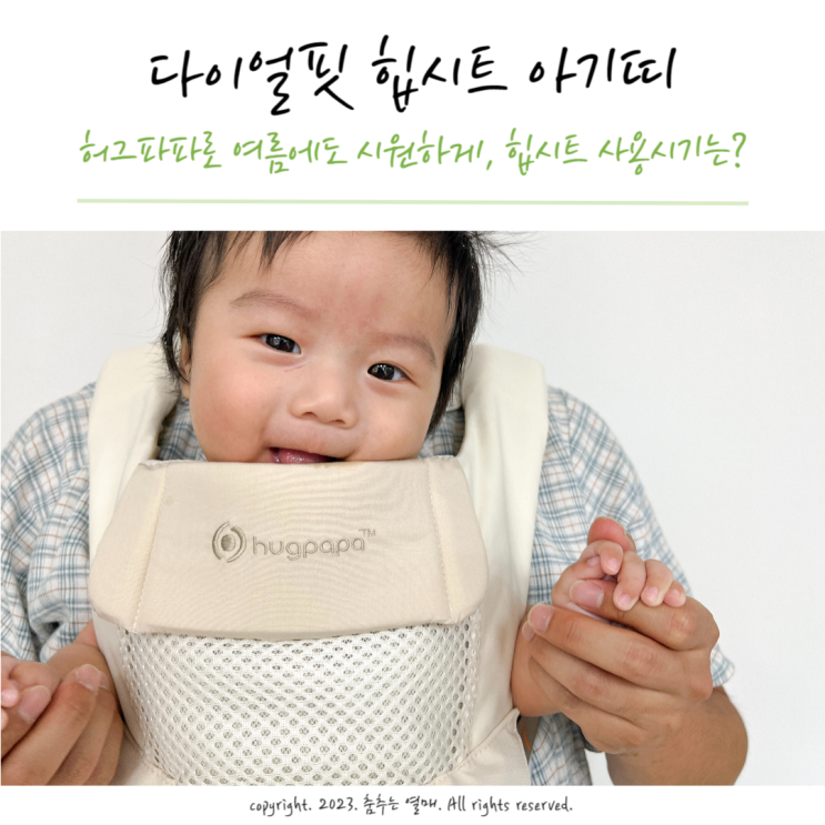 신생아 여름아기띠 힙시트 추천 힙시트 사용시기는 네이버 블로그