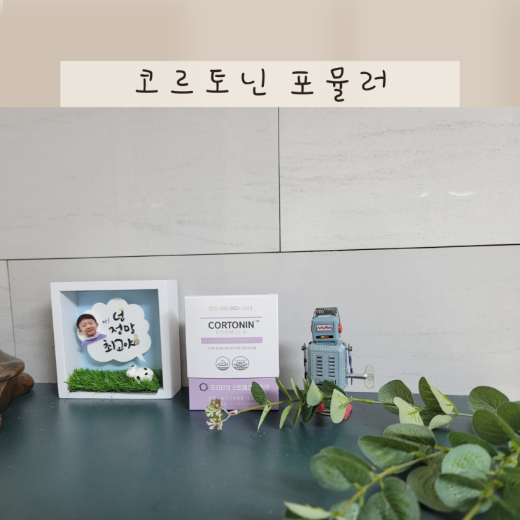 테아닌 홍경천 효능 코르토닌 포뮬러 스트레스 영양제 챙기며 수면 관리해 볼까 네이버 블로그