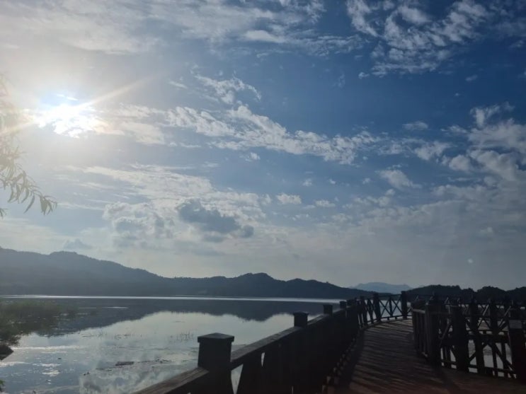 각 일주의 특성 : 네이버 블로그