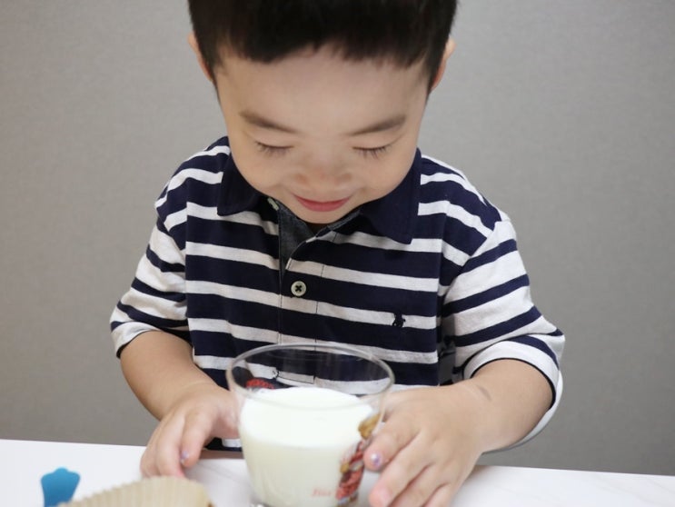 온 가족 프로틴 우유 맛있는 단백질 우유로 건강하게 네이버 블로그