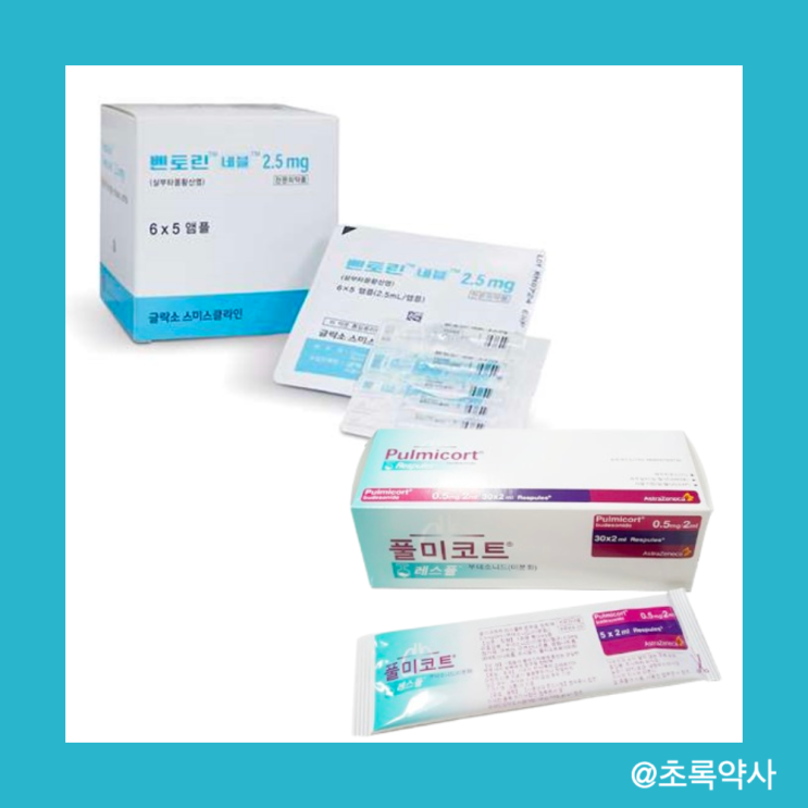 성분 사용법 용량 부작용 임산부 수유부 주의사항 네이버 블로그