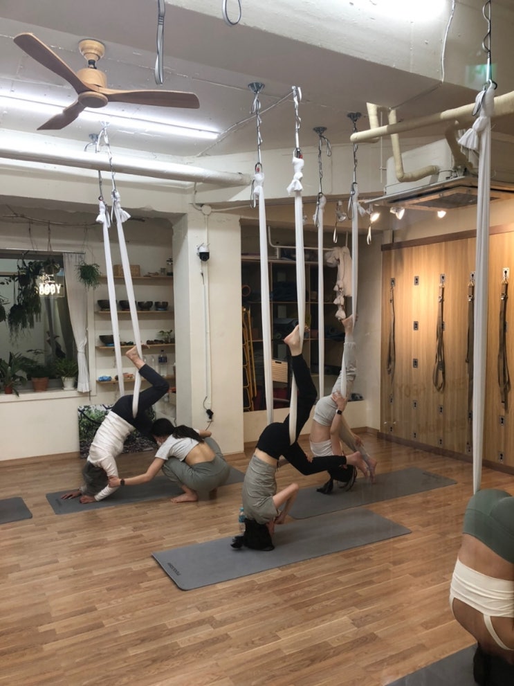 강남요가선정릉요가 여민블리스 요가 풍성한 수업 프로그램을 소개합니다 네이버 블로그