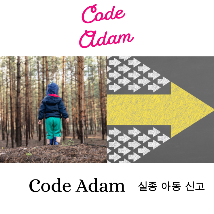 코드 아담_Code Adam에 대해 알아야 할 사실 : 네이버 블로그