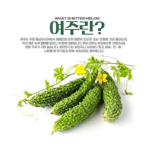당뇨와 고혈압 개선하는 여주의 효능 및 부작용 네이버 블로그