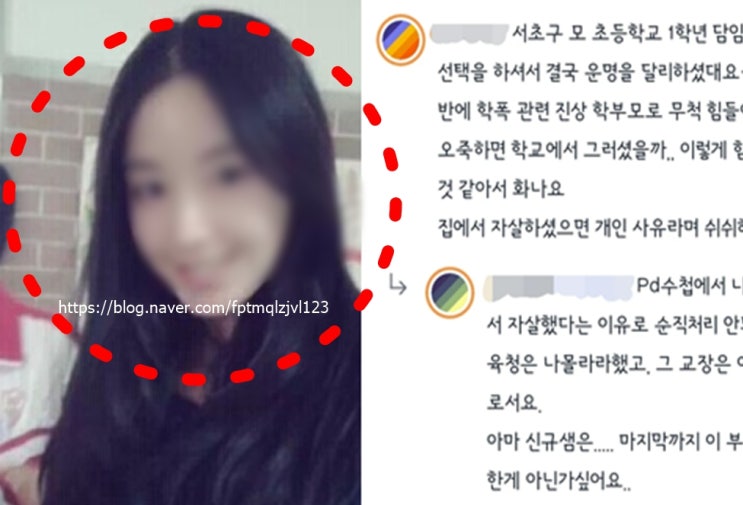 서초구 서이초 1학년 담임 여교사 추가로 밝혀진 진짜 자살 이유 신상 학부모 얼굴 학폭 네이버 블로그