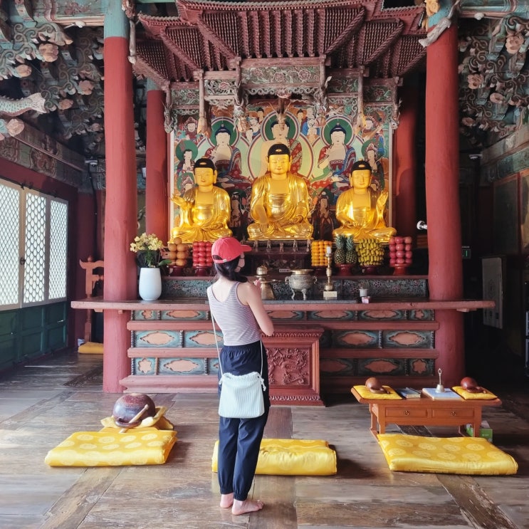 전남 영광 가볼만한곳5 물무산행복숲 불갑사 굴비거리 국내 패키지여행 버스투어 네이버 블로그