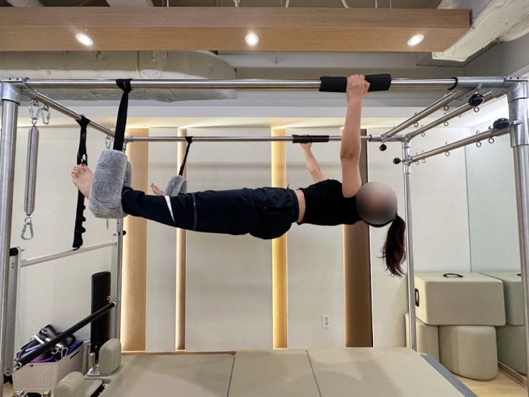 캐딜락의 꽃 Hanging 동작 종로 필라테스 헬스보이짐and필라걸 서울시청점에서 함께 만들어요 네이버 블로그