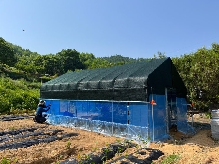 충청북도 괴산군 휴게공간 텃밭 창고로 활용 가능한 소형비닐하우스 전문업체 성우셀프하우스 네이버 블로그