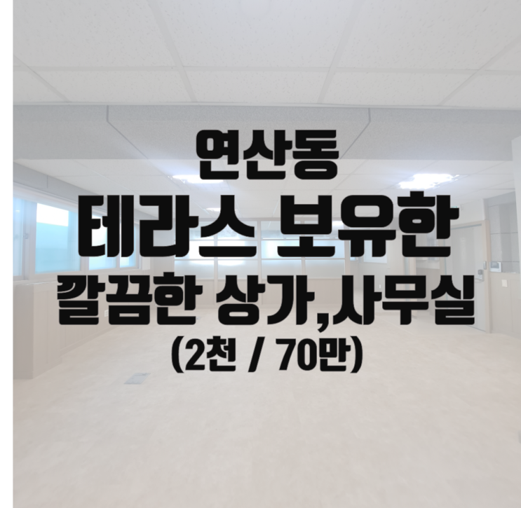 연산동 임대 테라스 보유한 공간분리 무권리 상가 사무실 네이버 블로그