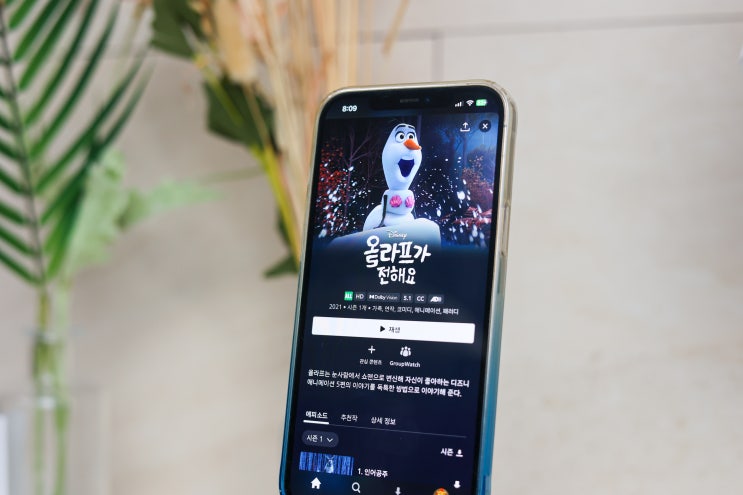OTT구독 고민! KT 상시 할인 혜택 디즈니플러스 너로 정했다! (Feat. 겨울왕국) : 네이버 블로그