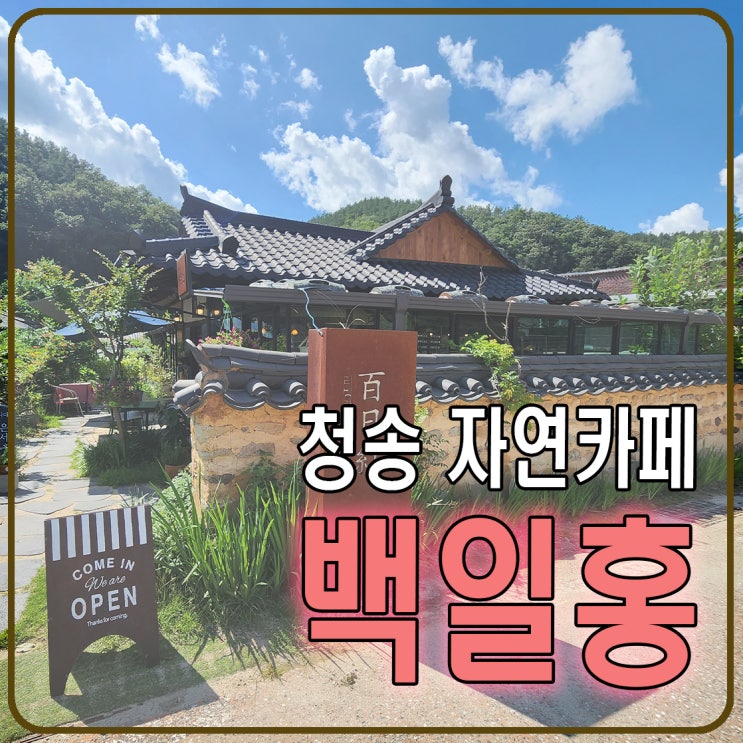 청송여행 부모님과 함께하기 좋은 여름 여행지 자연과 어울어진 카페 백일홍 And 송소고택 네이버 블로그