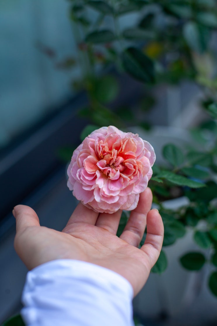 범접하기 힘든 밤빵님 🏻 : 네이버 블로그