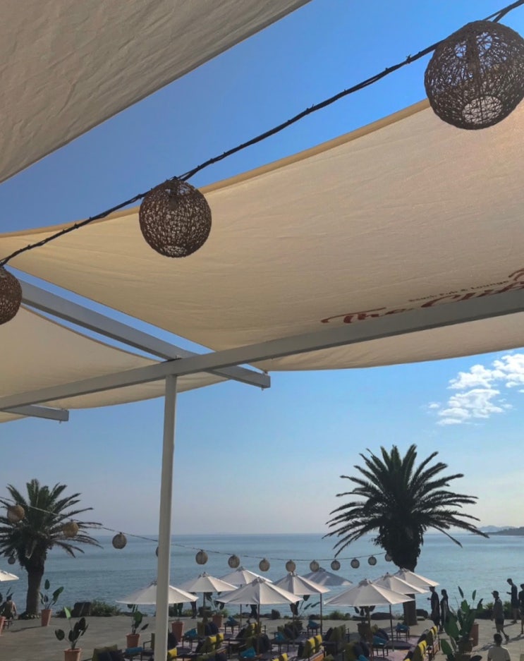 GMP_ 7/21(Fri) The dog days of summer : 네이버 블로그