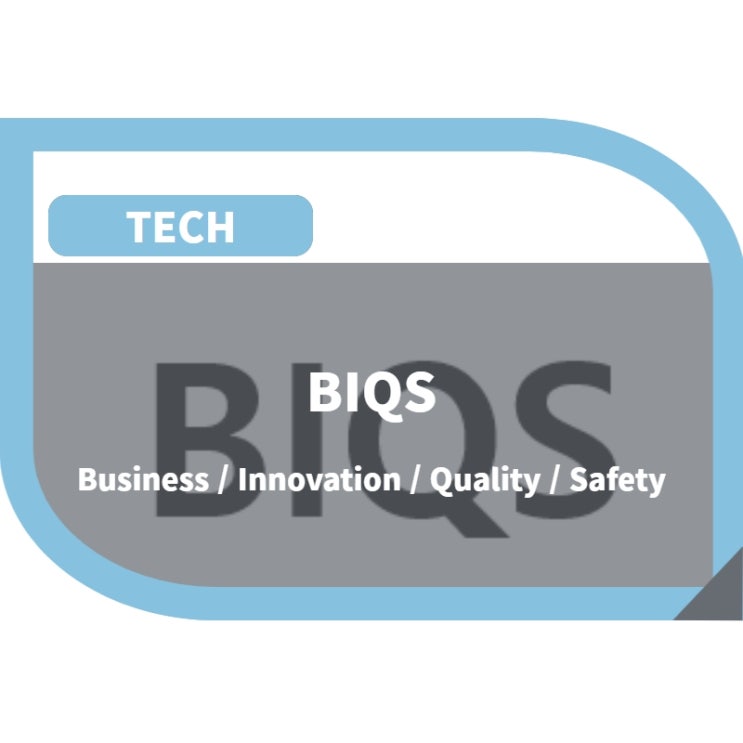 BIQS / 제조공정관리체계 / Business / Innovation / Quality / Safety : 네이버 블로그