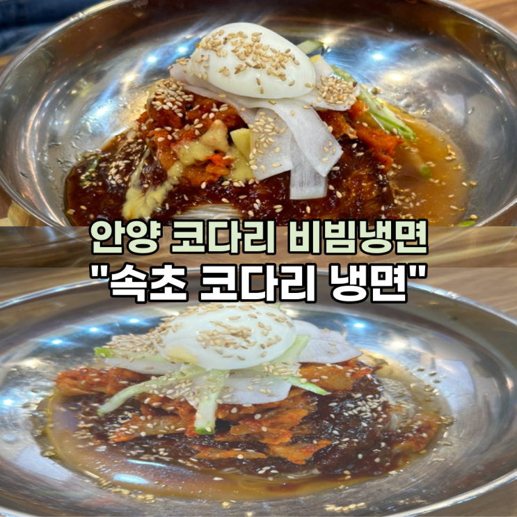 코다리가 듬뿍 들어간 안양 속초 코다리 냉면 내돈내산 리뷰 네이버 블로그