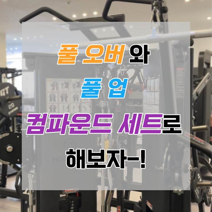 하남헬스미사헬스미사pt하남pt메가나인피트니스 풀 오버와 풀 업 컴파운드 세트로 해보자 네이버 블로그