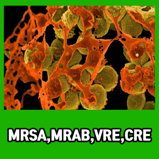 MRSA, MRAB, VRE, CRE culture 결과 보는 법 : 네이버 블로그