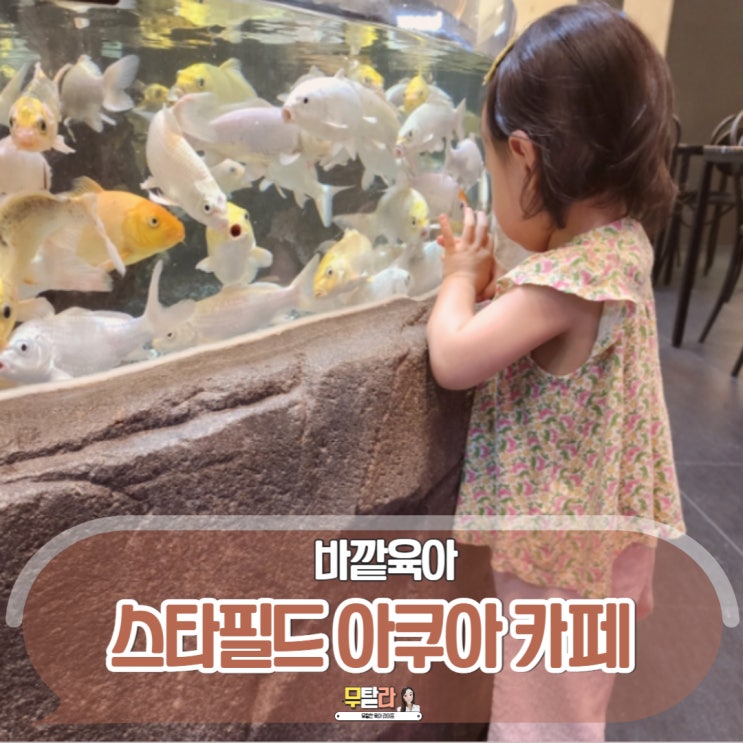 하남스타필드 카페 아이랑 갈만한 곳 아쿠아 카페 물고기 체험 구경 실컷 네이버 블로그