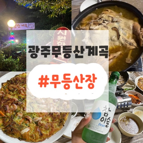광주 무등산 원효계곡 백숙 맛집 시원한 계곡 무등산장옻닭해물파전 네이버 블로그