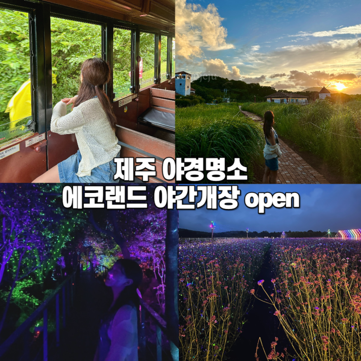 제주 야경 명소 에코랜드 테마파크 야간개장 기차 여행 곶자왈 포토존 네이버 블로그