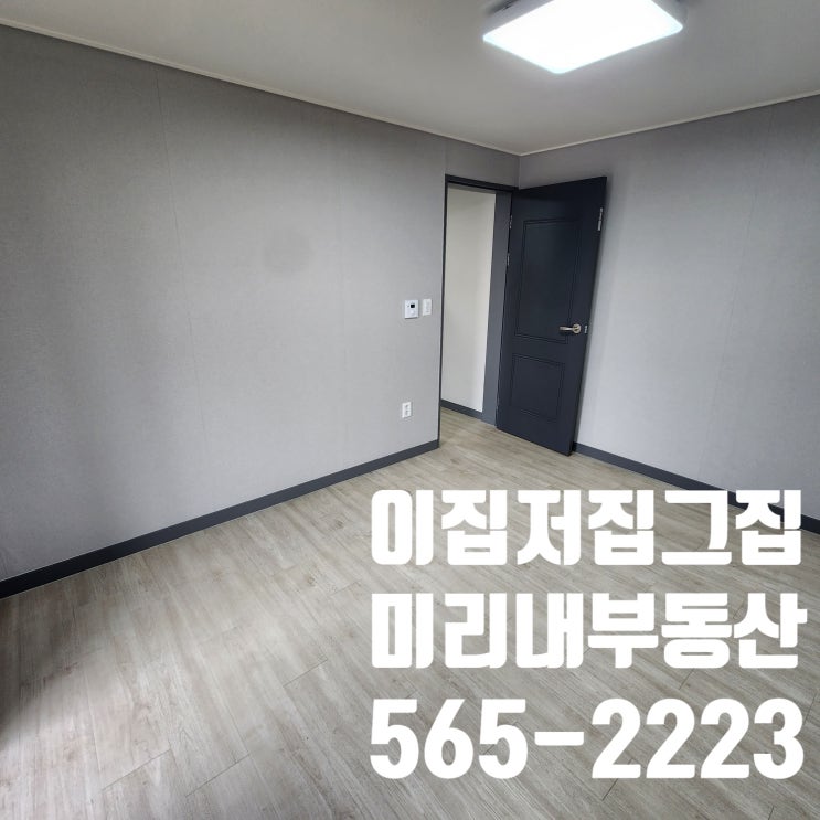 대구 남구 대명동 신축 투룸방1거실1 월세전세 협의 가능 지하철 1호선 역세권 엘리베이터 대명역 안지랑역 대덕네거리